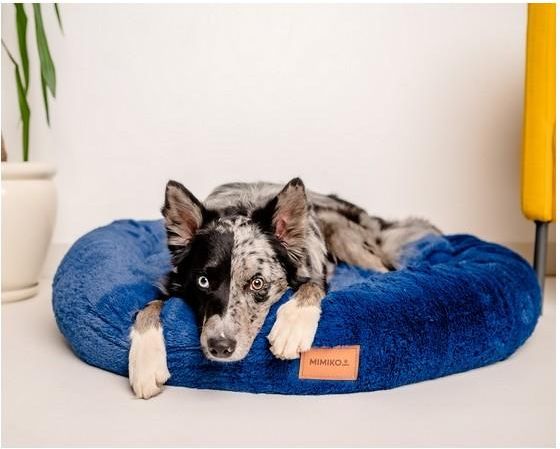 Mimiko Pets Legowisko Shaggy Okrągłe Xxl 100Cm Chabrowe MS21083 - Ceny ...