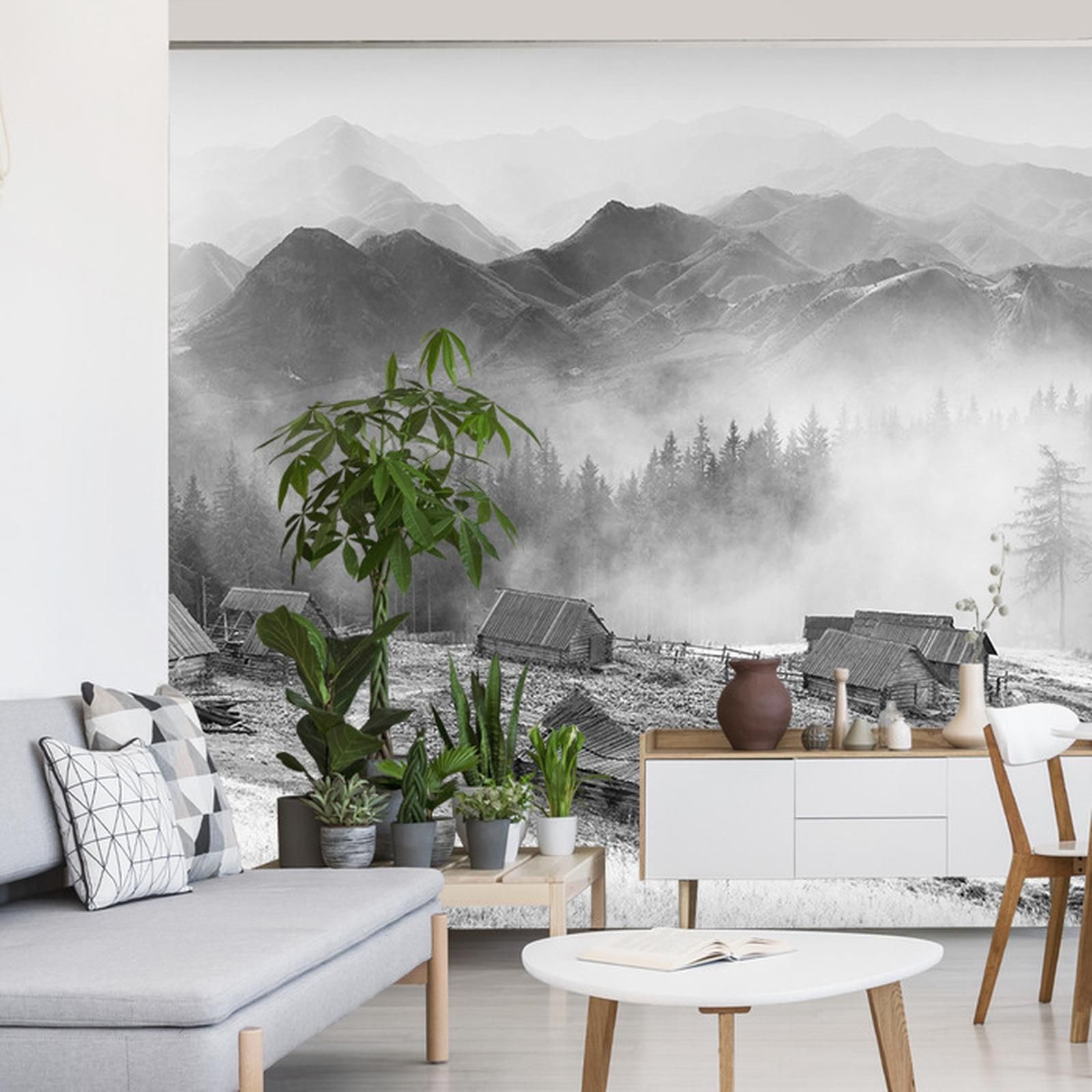 Doboxa Fototapeta Góry Czarno-Biała Vinyl 254X184 - Opinie i ceny na ...