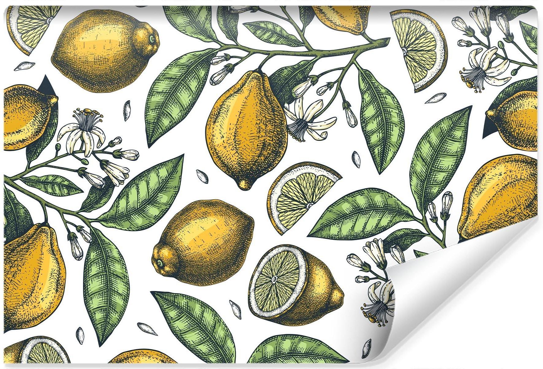 Doboxa Fototapeta Cytryny Z Kwiatami Vinyl 360X240 - Opinie i ceny na ...