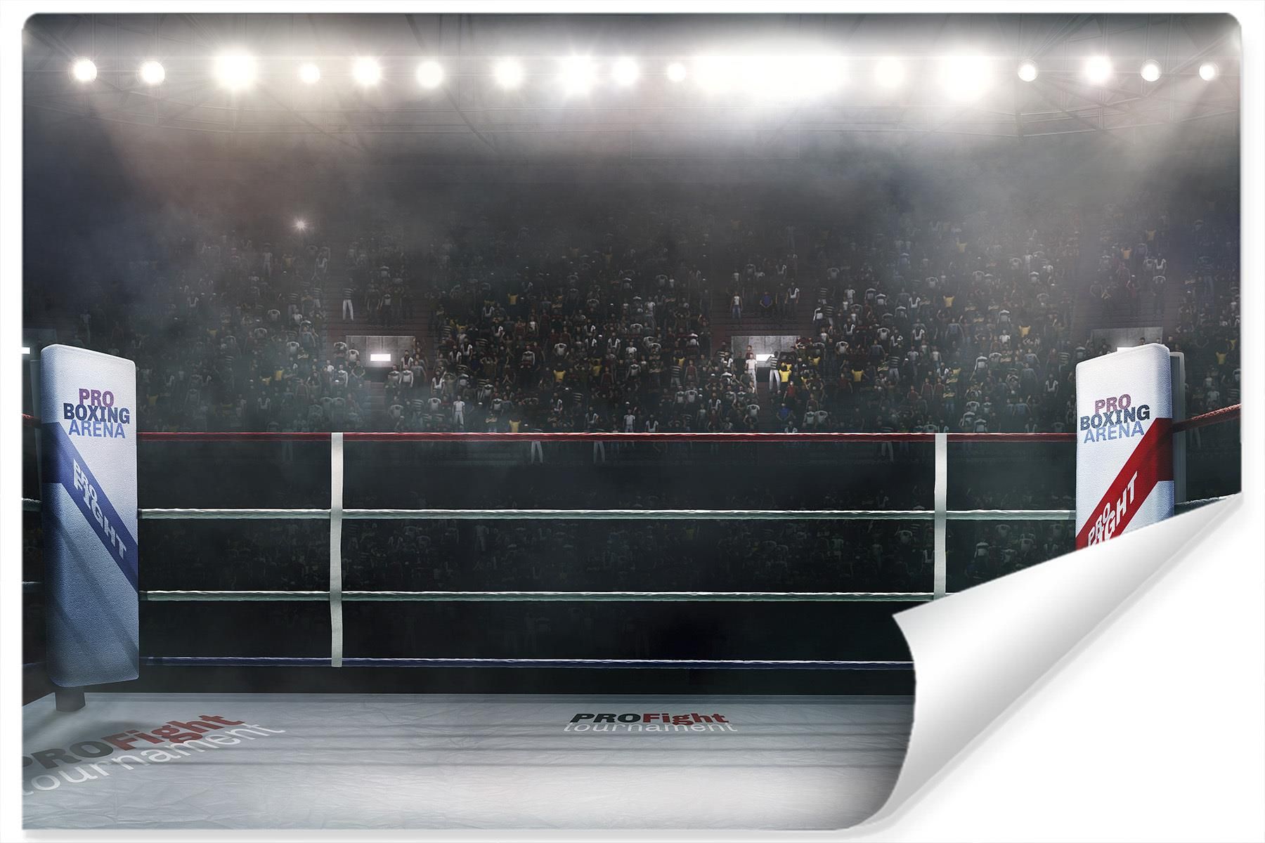 Doboxa Fototapeta Bokserski Ring 405X270 - Opinie i ceny na Ceneo.pl