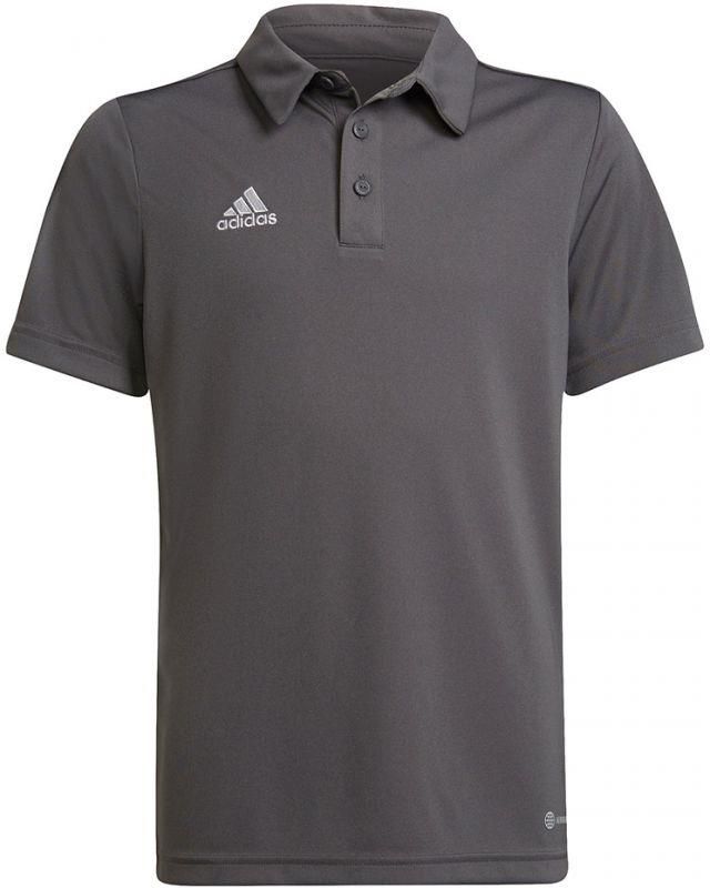 Adidas Koszulka Entrada 22 Polo Jr H57485 152Cm - Ceny i opinie - Ceneo.pl