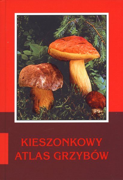 Kieszonkowy atlas grzybów - Ceny i opinie - Ceneo.pl