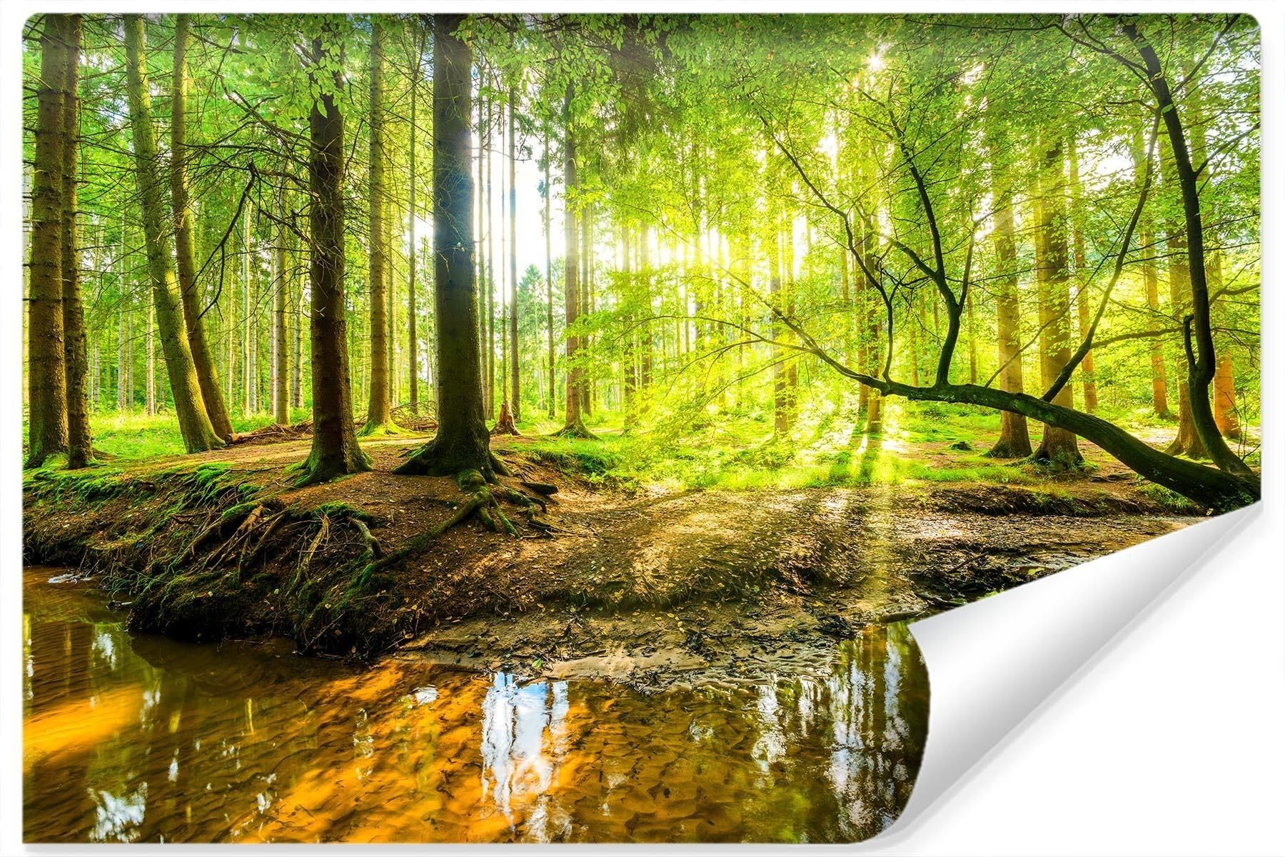 Doboxa Fototapeta Wiosną W Efekcie 3D Flizelina Zmywalna 460X300 Ft ... Doboxa Fototapeta Wiosną W Efekcie 3D Flizelina Zmywalna 460X300 Ft ...