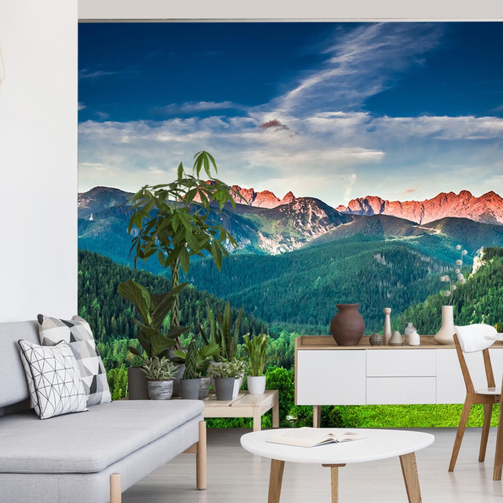 Doboxa Fototapeta Góry Flizelina 520X318 Ft-101-Vexxxxxl - Opinie i ...