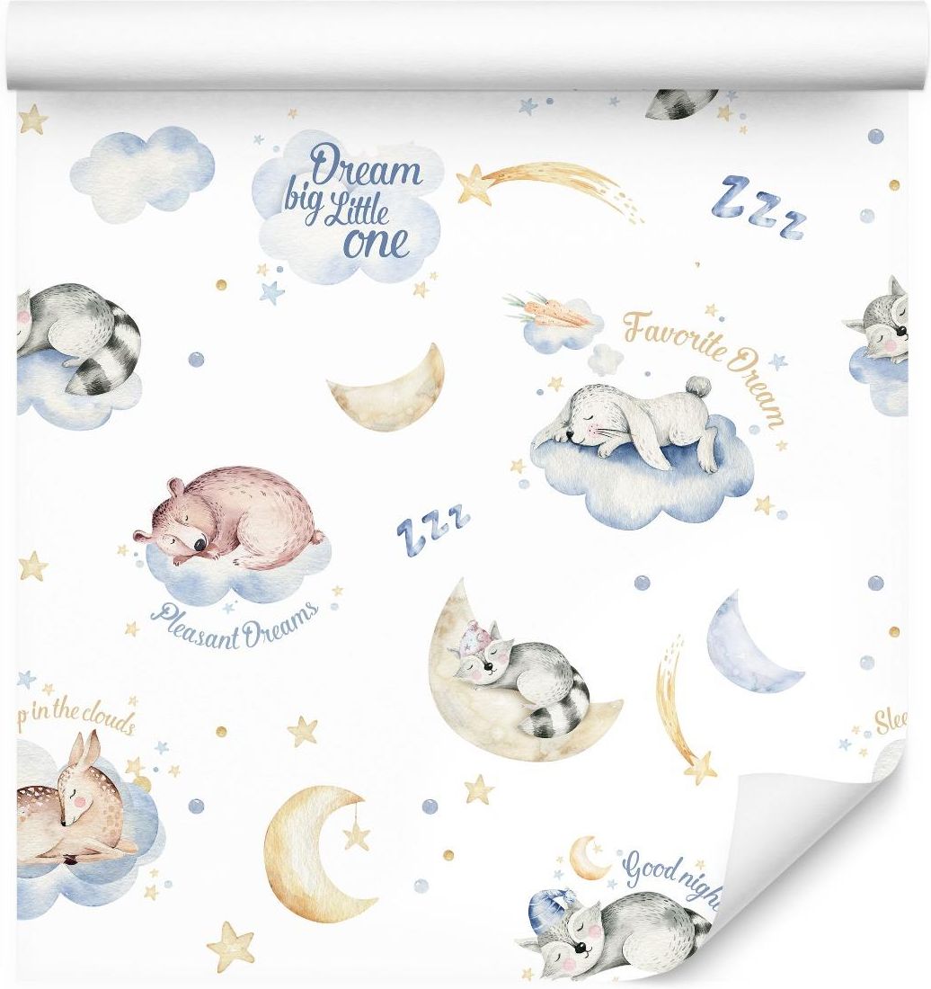 Muralo Tapeta Ozdoba Ścienna Dekoracja Dla Dzieci Księżyc Chmury Gwiazdy Zwierzęta Z Efektem 3D ...