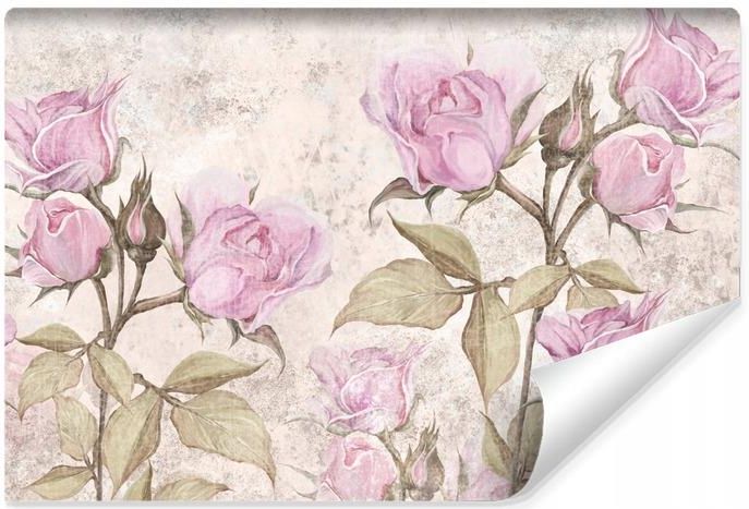 Muralo Fototapeta Do Salonu Kwiaty Róże Abstrakcja Beton Mural 360x240 - Opinie i ceny na Ceneo.pl