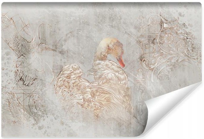 Muralo Fototapeta Do Sypialni Łabędź Beton Abstrakcja Mural Ornamenty 400x280 - Opinie i ceny na ...