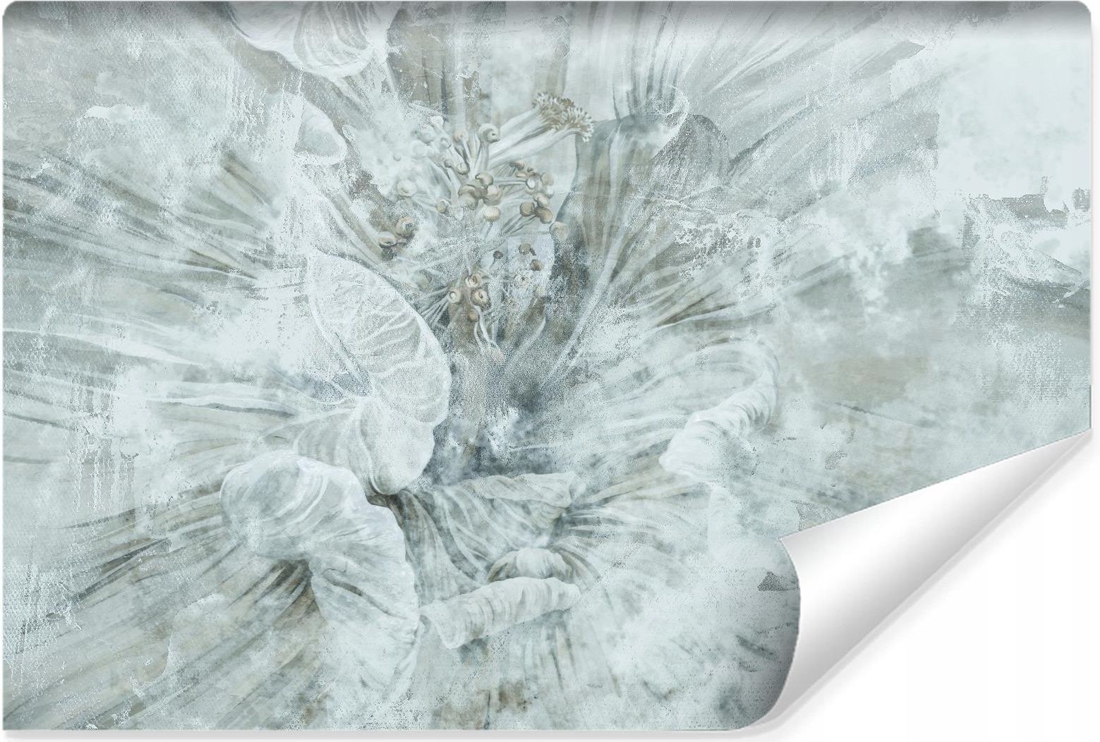 Muralo Fototapeta Do Jadalni Beton Mural Abstrakcja Kwiat Vintage 368x254 - Opinie i ceny na ...