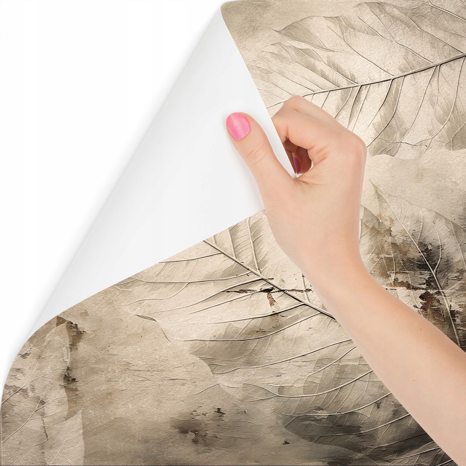 Muralo Fototapeta Do Jadalni Abstrakcja Liście Rośliny Beton Mur 135x90 - Opinie i ceny na Ceneo.pl