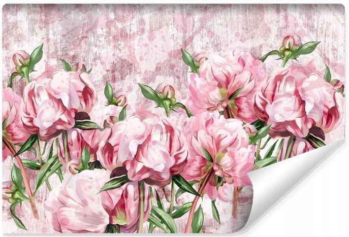 Muralo Fototapeta Do Salonu Kwiaty Peonie Natura Beton Abstrakcja Mural 368x254 - Opinie i ceny ...