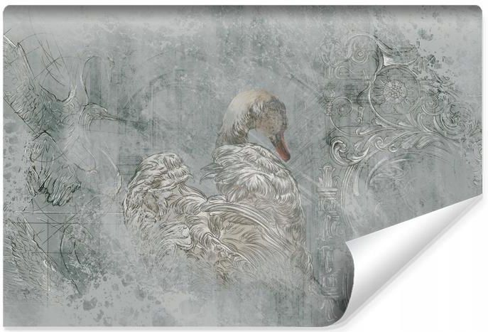 Muralo Fototapeta Do Jadalni Abstrakcja Beton Mural Łabędź Retro 360x240 - Opinie i ceny na Ceneo.pl