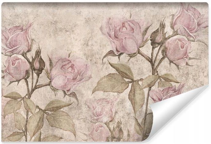 Muralo Fototapeta Do Jadalni Róże Kwiaty Styl Vintage Beton Abstrakcja 135x90 - Opinie i ceny na ...