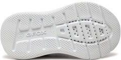 Sneakersy Geox - Ceny i opinie - Ceneo.pl