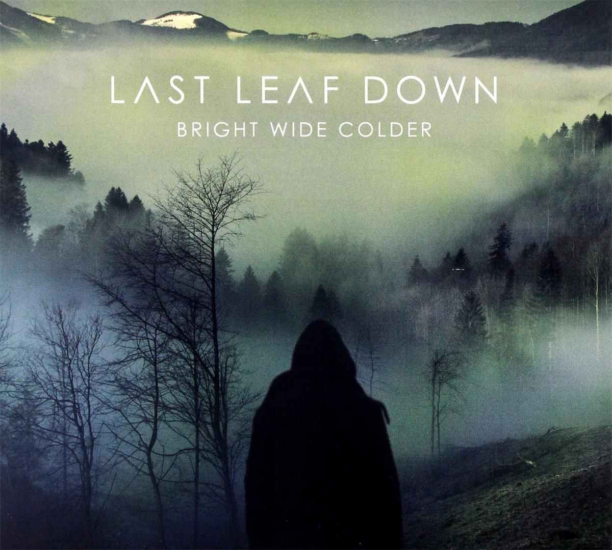 Płyta kompaktowa Last Leaf Down - Bright Wide Colder (digipack) (CD) - Ceny i opinie - Ceneo.pl