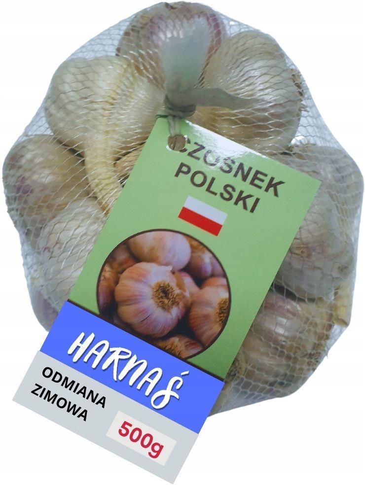 Czosnek Harnaś Polski 500G Ozimy Świeży Tegoroczny - Ceny i opinie ...