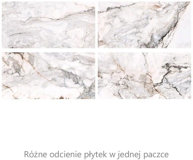 Płytki Pamesa Pisa Gold Matt Rektyfikowana 60,0x120,0 - Opinie i ceny ...