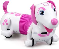 Silverlit Interaktywny Piesek Jamnik Różowy Robo Dash D - Ceny i opinie - Ceneo.pl