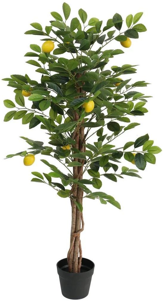 VidaXLSztuczne Drzewko Cytrynowe Na 3 Pniach Zielona 120Cm Pp 4010677 ...