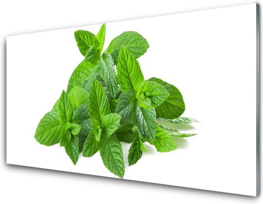 Tulup.Pl Obraz Akrylowy Mięta Roślina Natura 125x50 cm 4 zawieszki ...