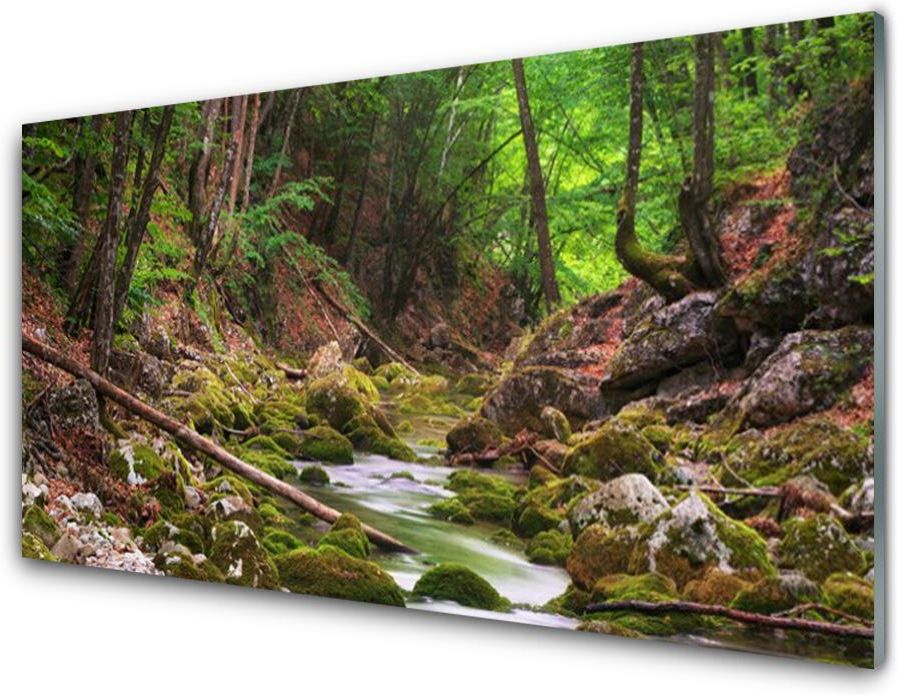 Tulup.Pl Obraz Szklany Las Mech Natura 120x60 cm 4 zawieszki ...