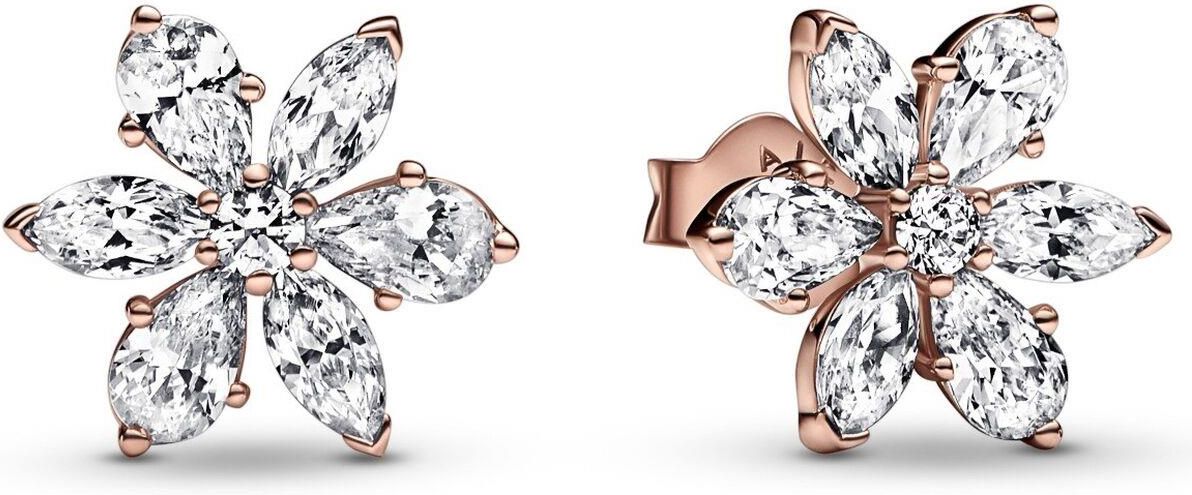 Kolczyki Damskie Pandora 282407C01 Plata De Ley 925 - Ceny i opinie ...