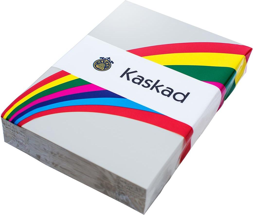 Lessebo Papier Kolorowy Kaskad Sparrow Grey 93 160g A4 - Ceny i opinie ...