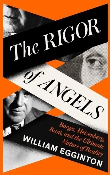 The Rigor of Angels - Literatura obcojęzyczna - Ceny i opinie - Ceneo.pl