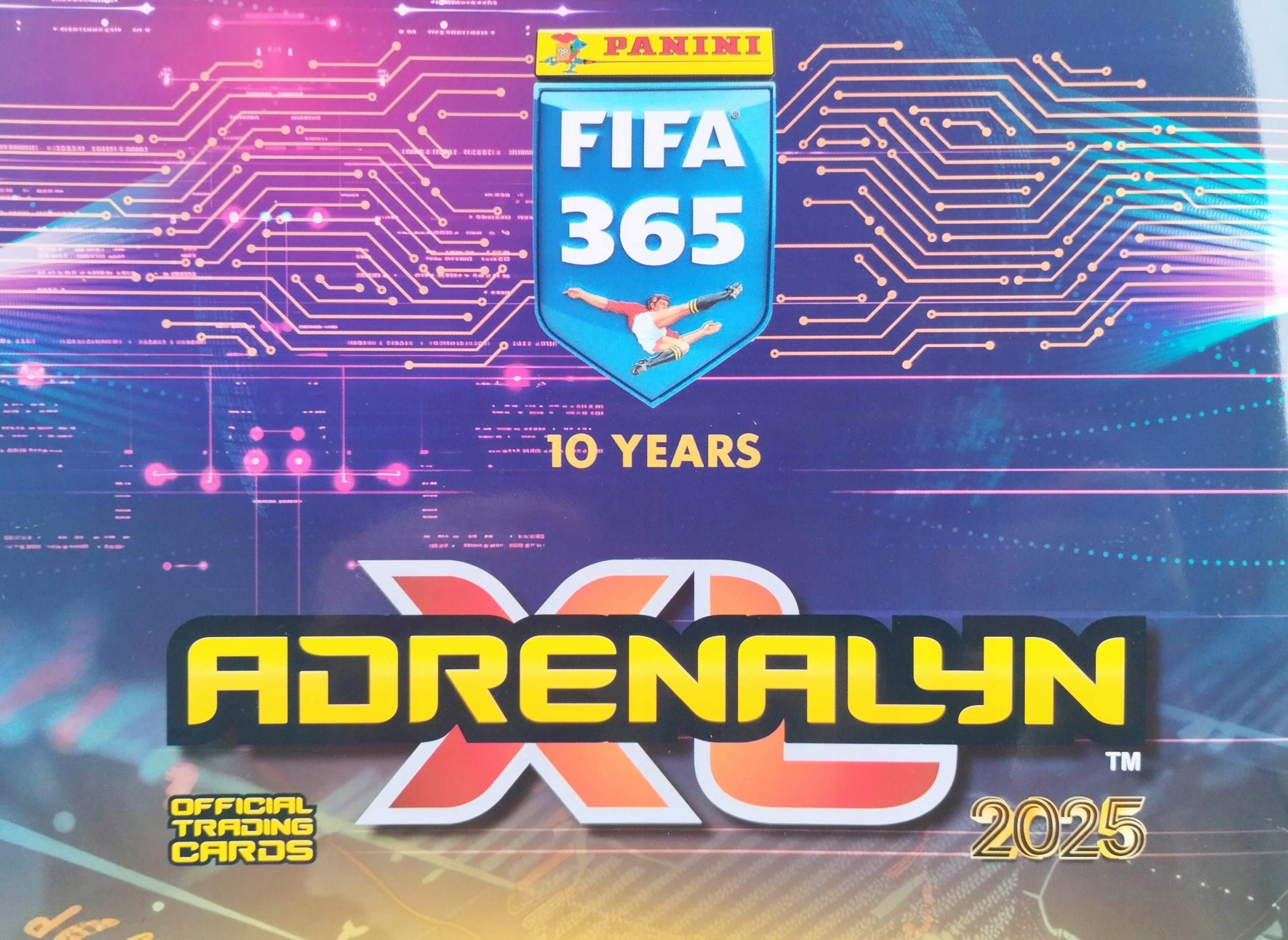 Panini Fifa 365 2025 Limited Rodri Manchester City - Ceny i opinie ...