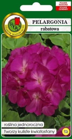 Pelargonia Rabatowa F1 Fioletowa 10Z Pnos - Ceny i opinie - Ceneo.pl