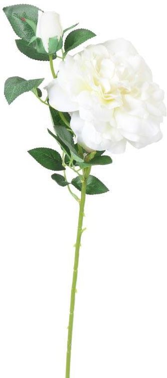 Goliat Róża Dekoracyjna Z Młodym Pąkiem Biała Wysokość 70cm (Dyjm-004 ...