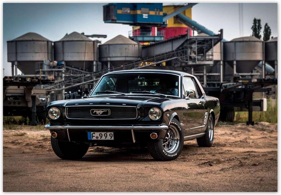 Fototapety 368x254 Czarny Ford Mustang Auto - Opinie i ceny na Ceneo.pl