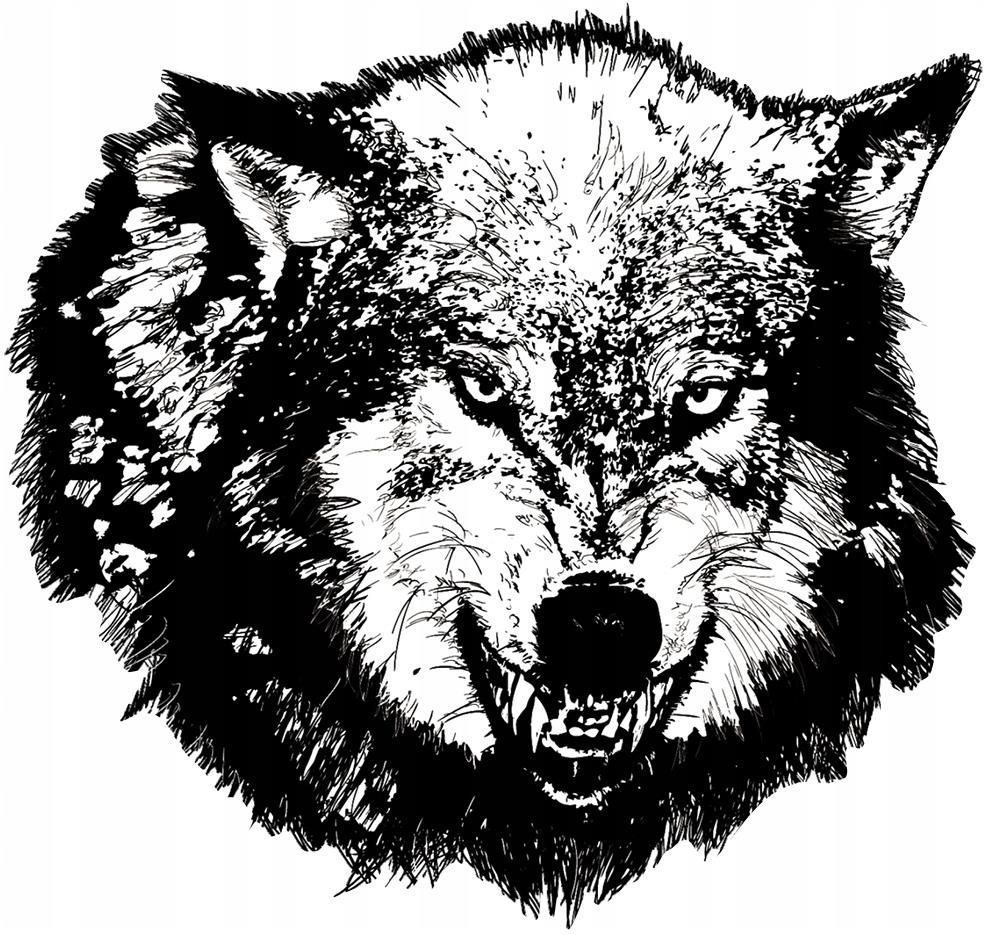 Mgdesign Naklejka Na Samochód Groźny Wilk Wolf Wild Animal 16X15 Druk ...
