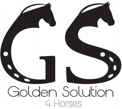 Pasza Dla Koni Wrzodowych British Mash Golden Solution 4 Horses 20Kg ...