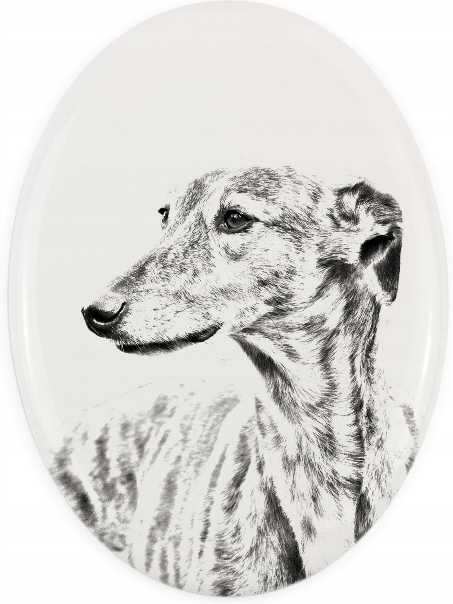 Greyhound, Chart Angielski - Płytka Pamiątkowa Ze Zdjęciem Psa - Ceny i ...