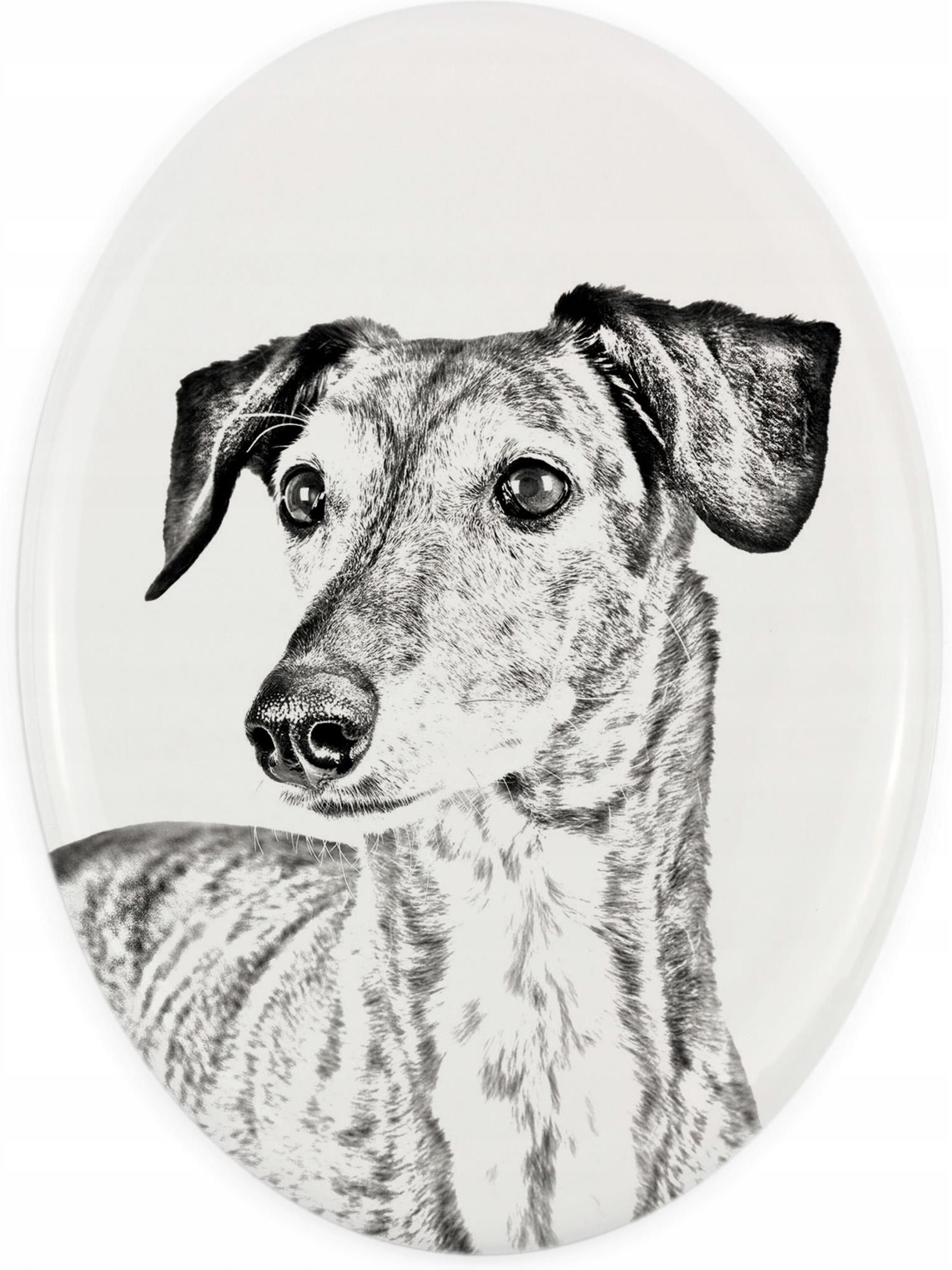 Chart Perski, Saluki - Płytka Pamiątkowa Ze Zdjęciem Psa - Ceny i ...