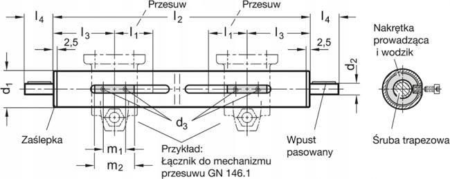 Elesa+Ganter Mechanizm Przesuwu 2X Śruba Trapez Tr 14X4 100Mm - Opinie ...