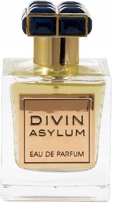 World Fragrance Divin Asylum Woda Perfumowana 100ml - Opinie i ceny na ...