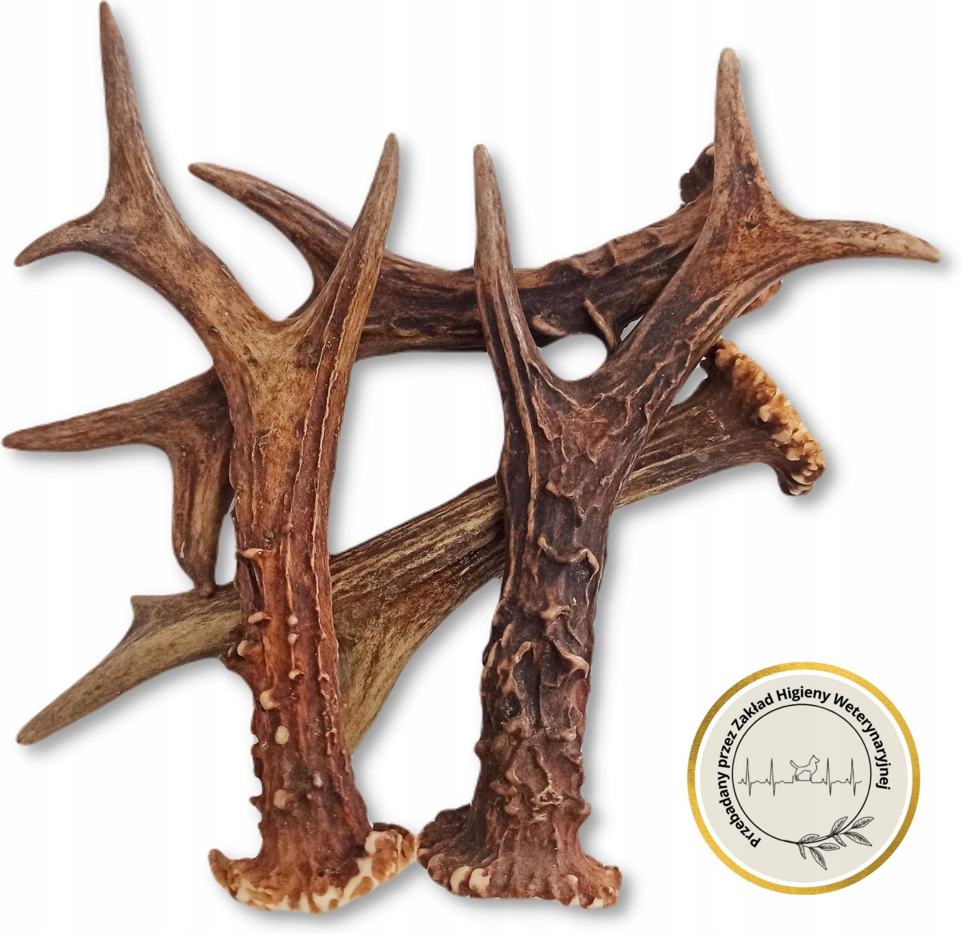 Karma Biotop Gryzak Z Poroża Kozła Parostek Rogi Dla Psa L Hard 16-18Cm ...