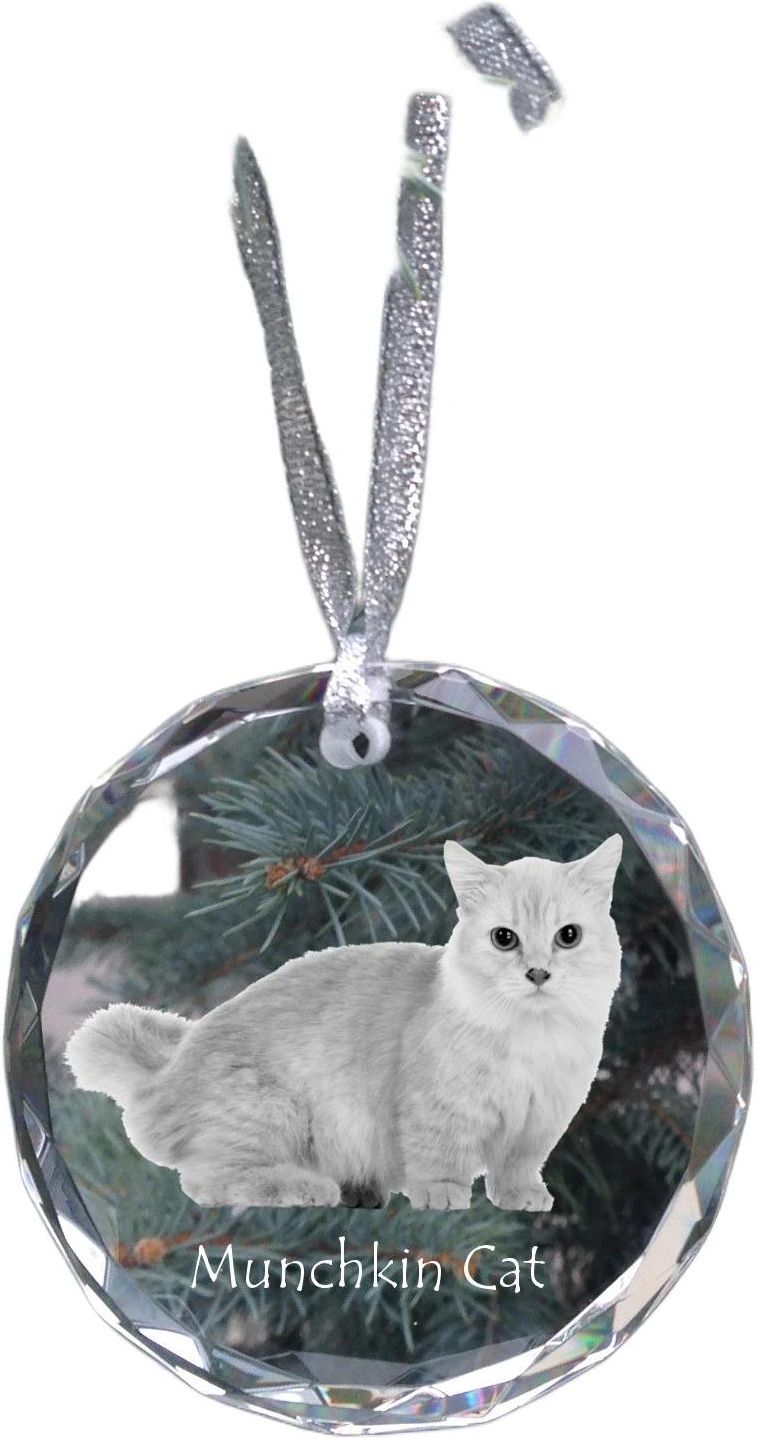 Kot Amerykański curl personalizowana bombka ze zdjęciem, ozdoba na choinkę - Opinie i atrakcyjne ...