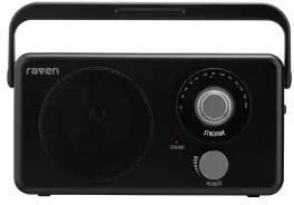 Radio Raven ERADP003 Radio FM Czarny - Opinie i ceny na Ceneo.pl
