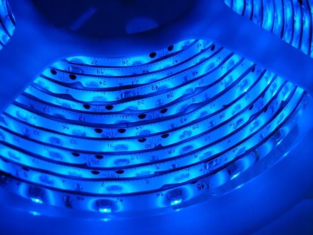 Taśma LED Premium HQ 300LED 12V DC 4,8W/1m kolor Blue NIEBIESKI długość ...