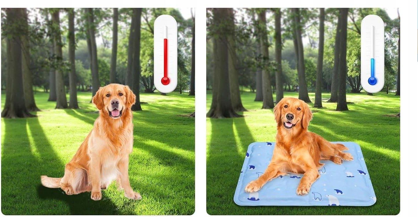 Extfans Mata Chłodząca dla Psa 30 x 40 cm Żelowa Podkładka Chłodząca 1766939268 - Ceny i opinie ...