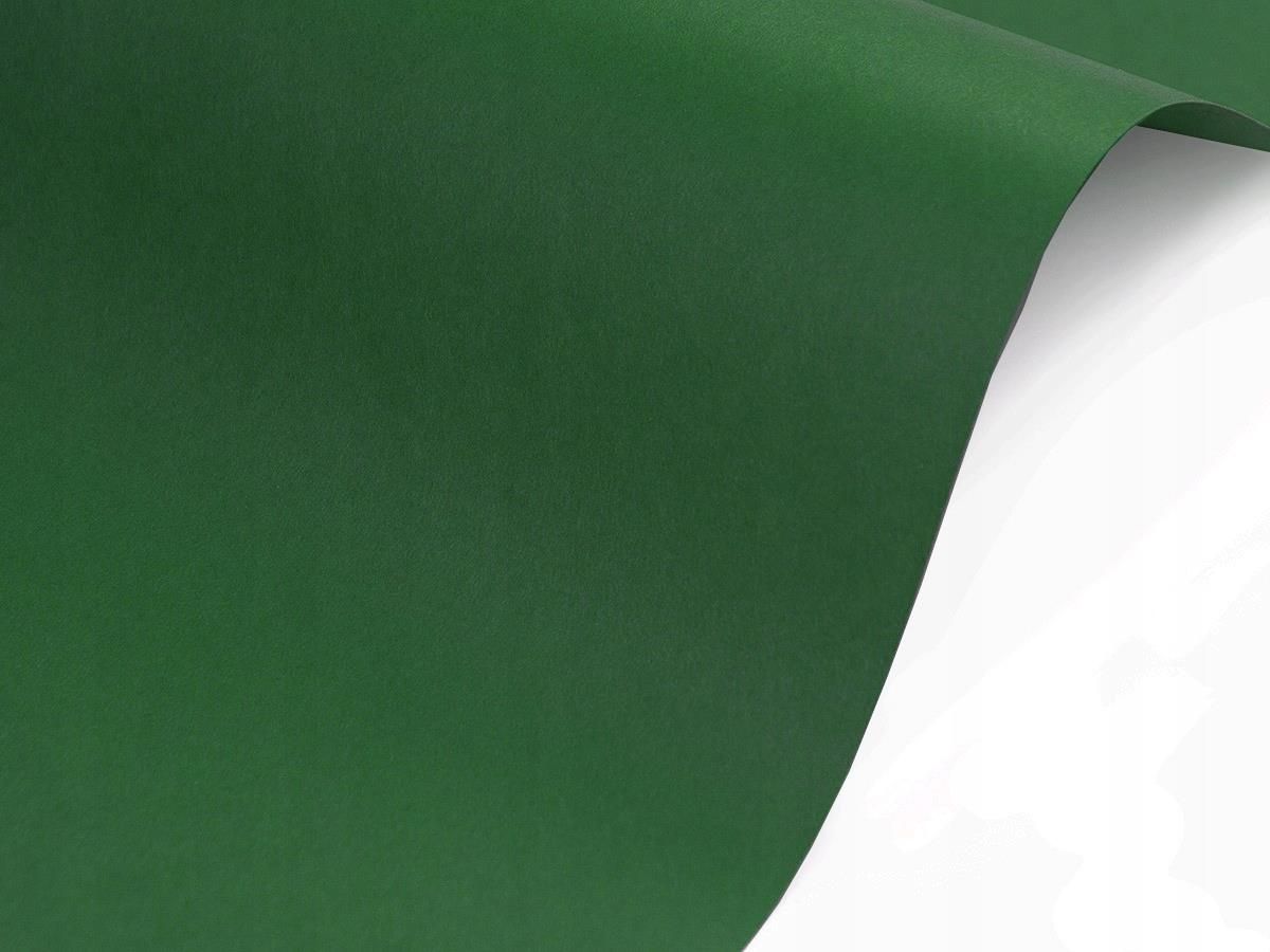 Fedrigoni Papier Ozdobny Sirio Color Foglia 210G 20 Ark. A4 - Ceny i ...