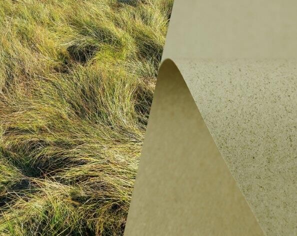 Grass Papier Ekologiczny Z Trawy Ozdobny 120G A4 100Ark - Ceny i opinie ...