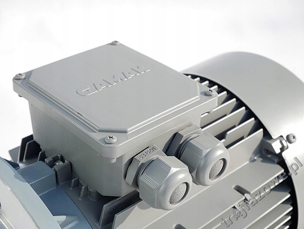 Silnik elektryczny 3f 3kW 3000obr 100L2 B34 S1 - Opinie i ceny na Ceneo.pl