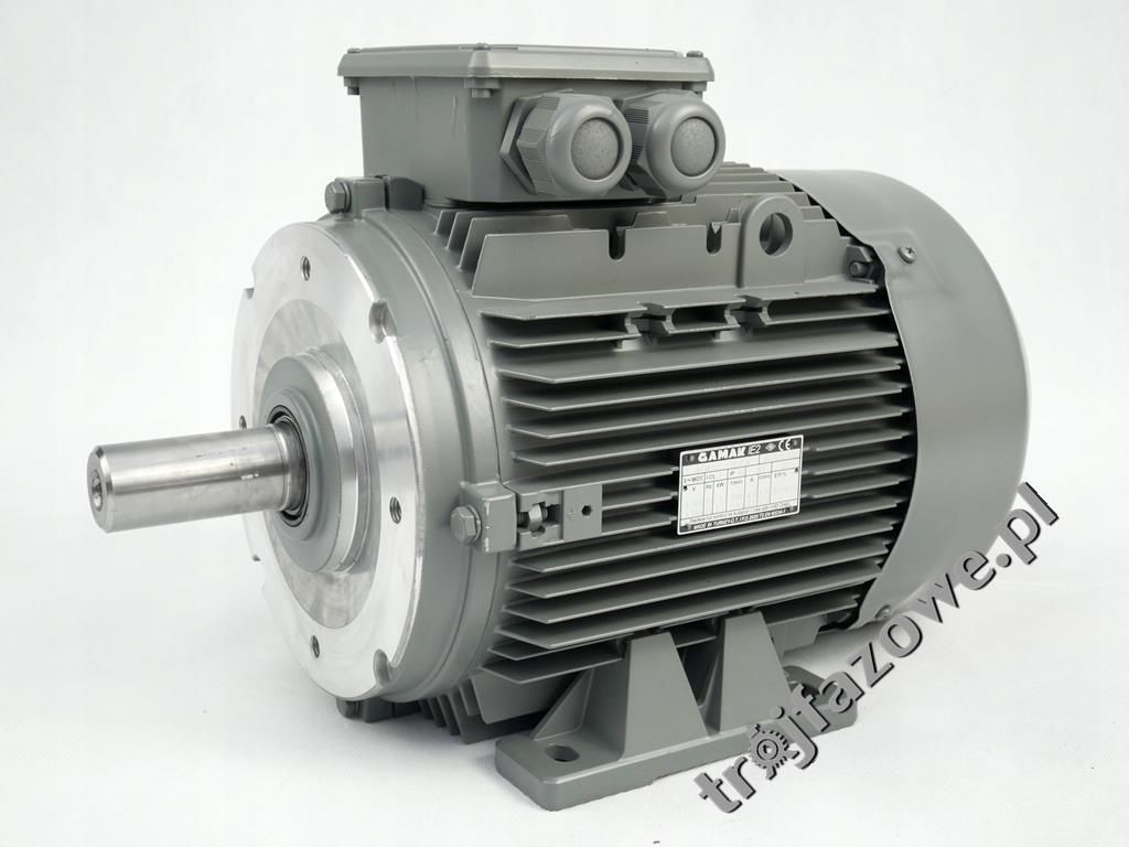 Silnik elektryczny 3f 1,1kW 3000obr 80M2 B14 S1 - Opinie i ceny na Ceneo.pl