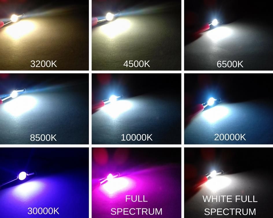 Epistar Dioda Power Led 3W Full Spectrum 45mil 1761654728 - Opinie i ...