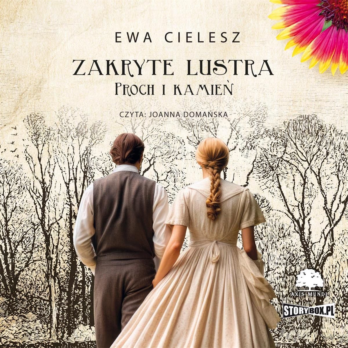 Proch i kamień. Zakryte lustra. Tom 3 (Audiobook) - Ceny i opinie ...