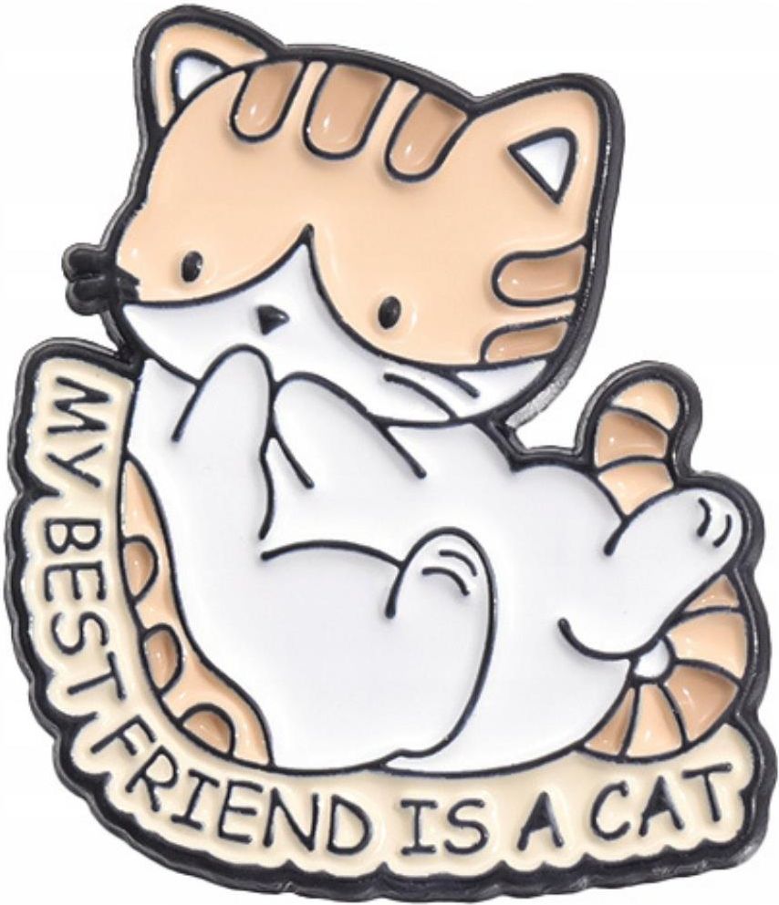 Metalowa Przypinka Rudy Kot My Bestfriend Is A Cat Kot Przyjaciel Pin ...