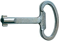 Rittal Klucz Dwupiórkowy (2531.000) - Opinie i ceny na Ceneo.pl